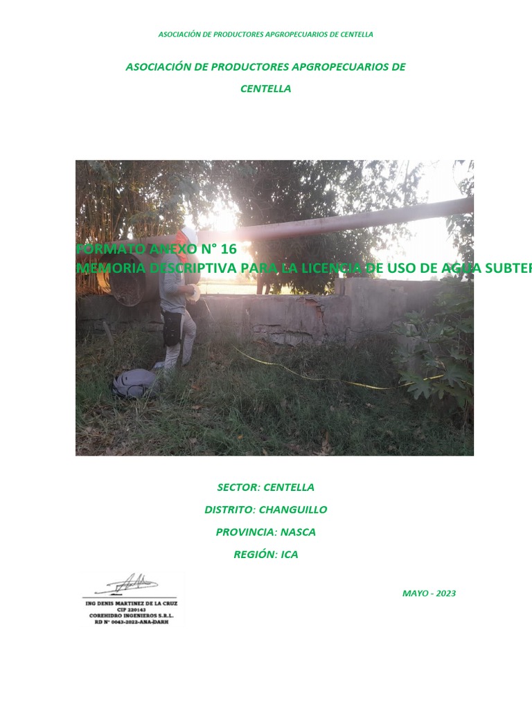 Formato Anexo N16 | PDF | Ph | Sal (química)