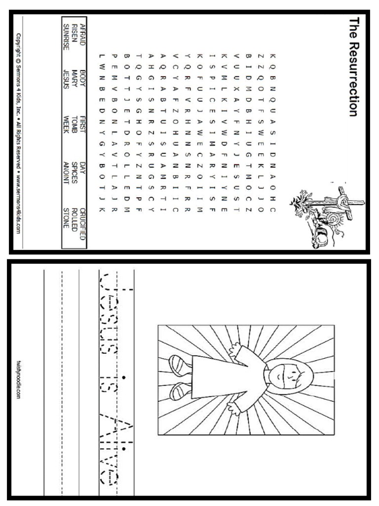Activity - Lesson 3 | PDF