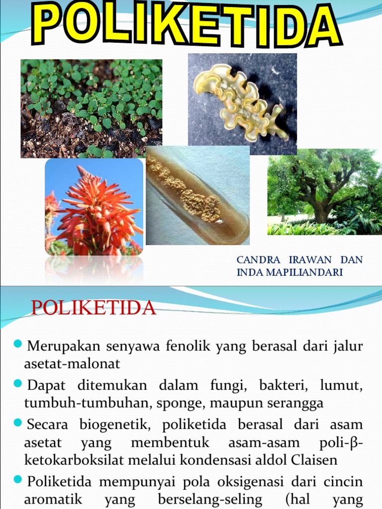 Poliketida 2 | PDF | Sains & Matematika