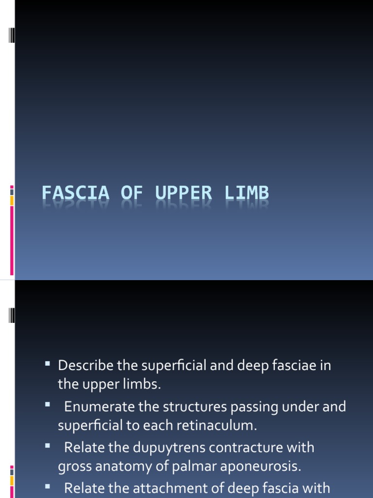 Fascia of Upper Limb | PDF | Hand | Thumb
