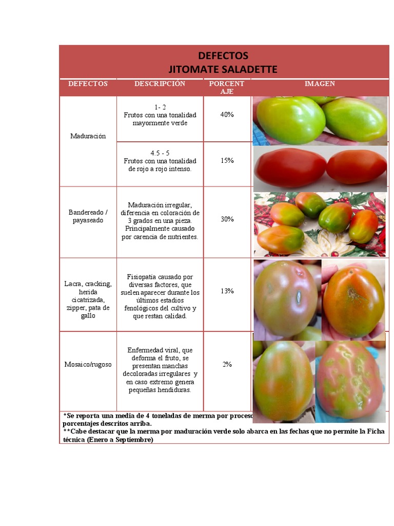 Defefctos de Jitomate | PDF