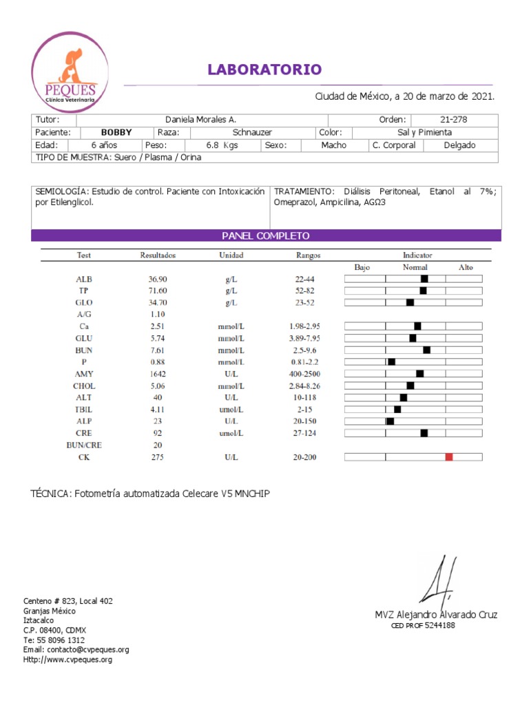 21-278 BH QS Bobby | PDF