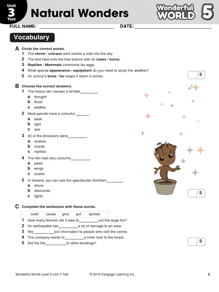 Unit3 Exam Natural Wonders Wonderful World | PDF | Volcano
