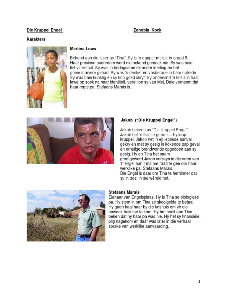 Afrikaans GR 11 Die Kruppel Engel | PDF