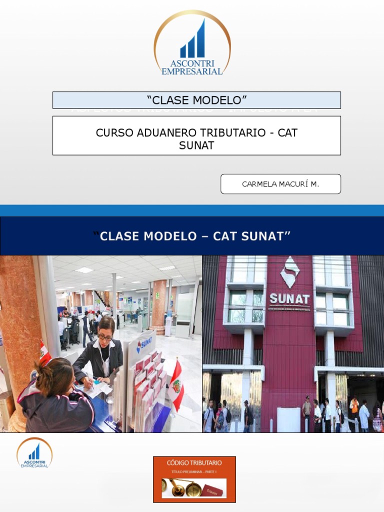 Clase Modelo Cat Sunat | PDF | Impuestos | Ley Pública