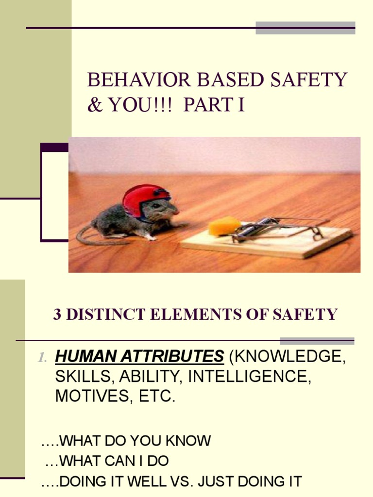 Behaviour Based Safety | PDF | Behavior | Top Down And Bottom Up Design