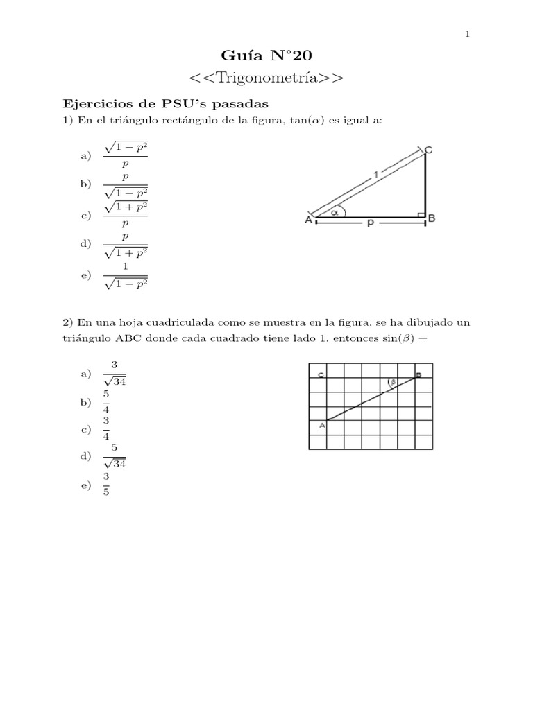 Gu A N 20 Trigonometr A | PDF | Triángulo | Geometría del plano euclidiano