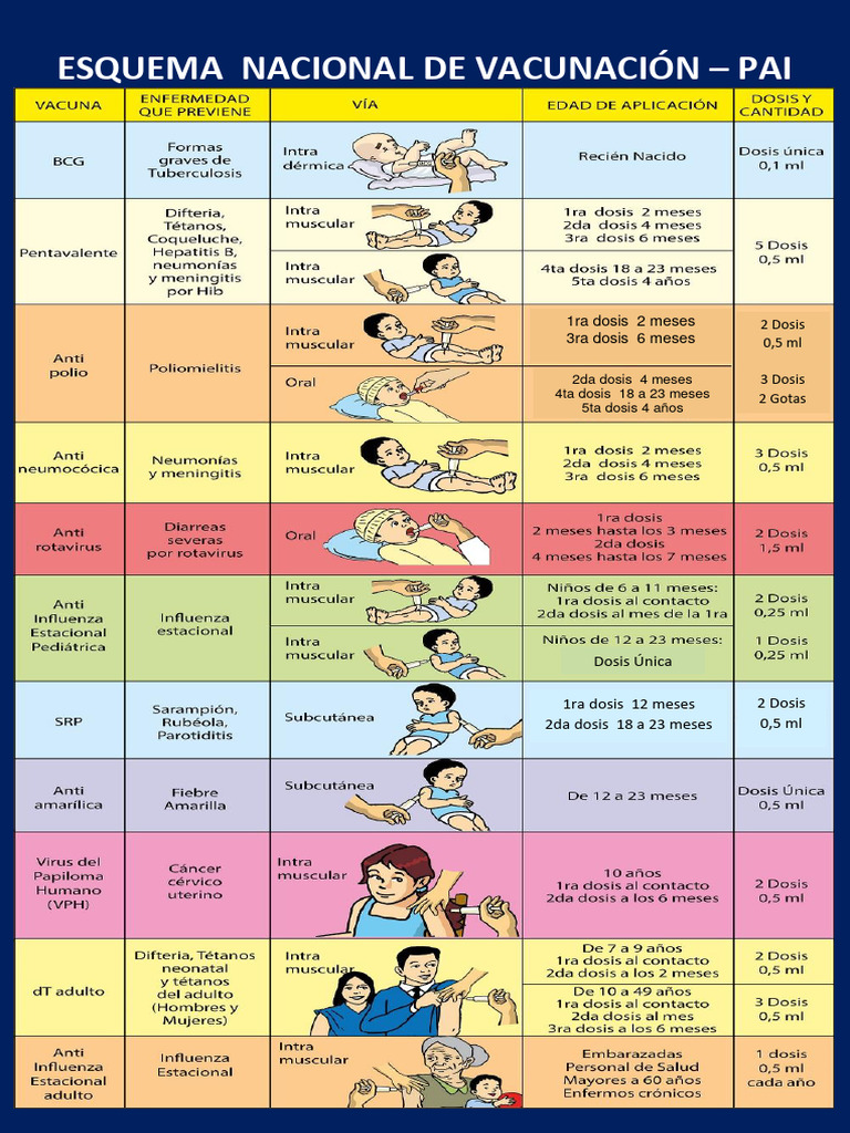 Pai Actualizado 2022 PDF | PDF