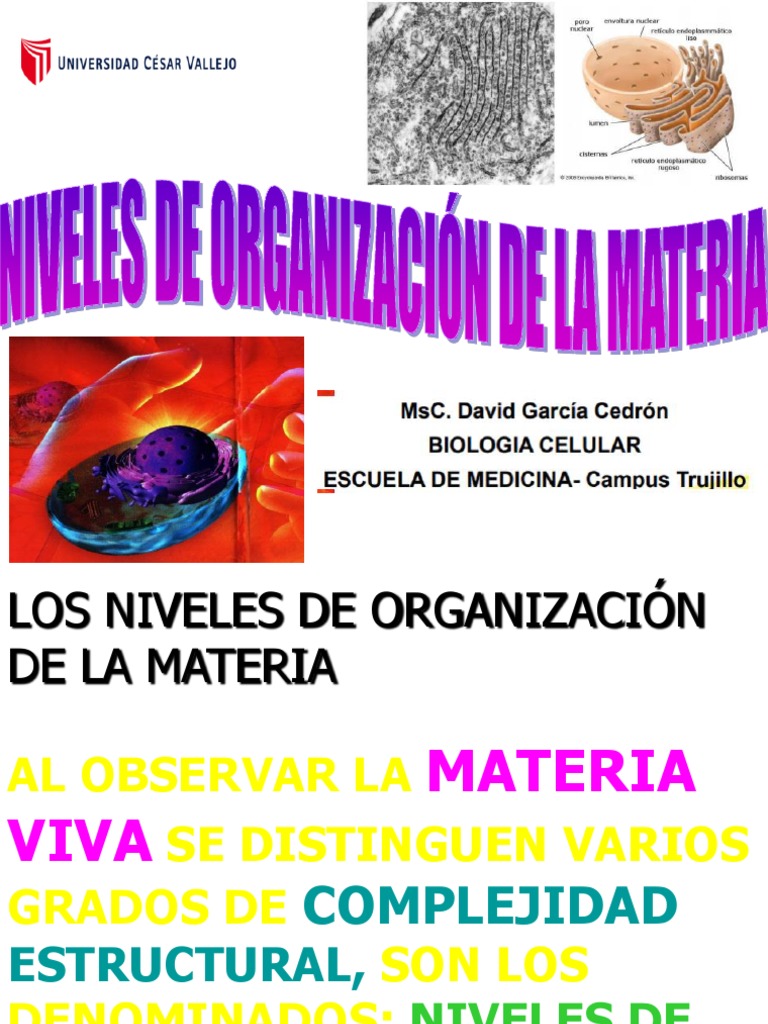 Sesión 1-Niveles de Organizacion | PDF | Biología Celular) | Importar