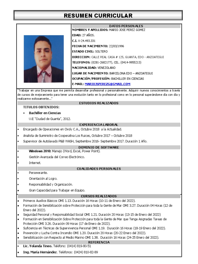 Curriculo Mario Perez | PDF | Informática | Software