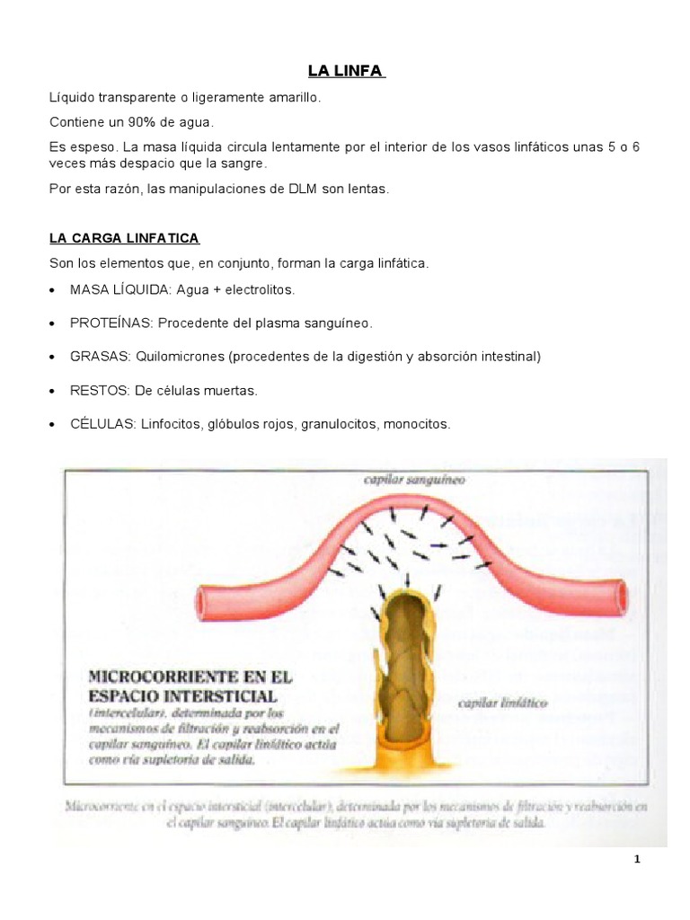 Drenaje Linfático y Carga Linfática | PDF | Edema | Sistema linfático