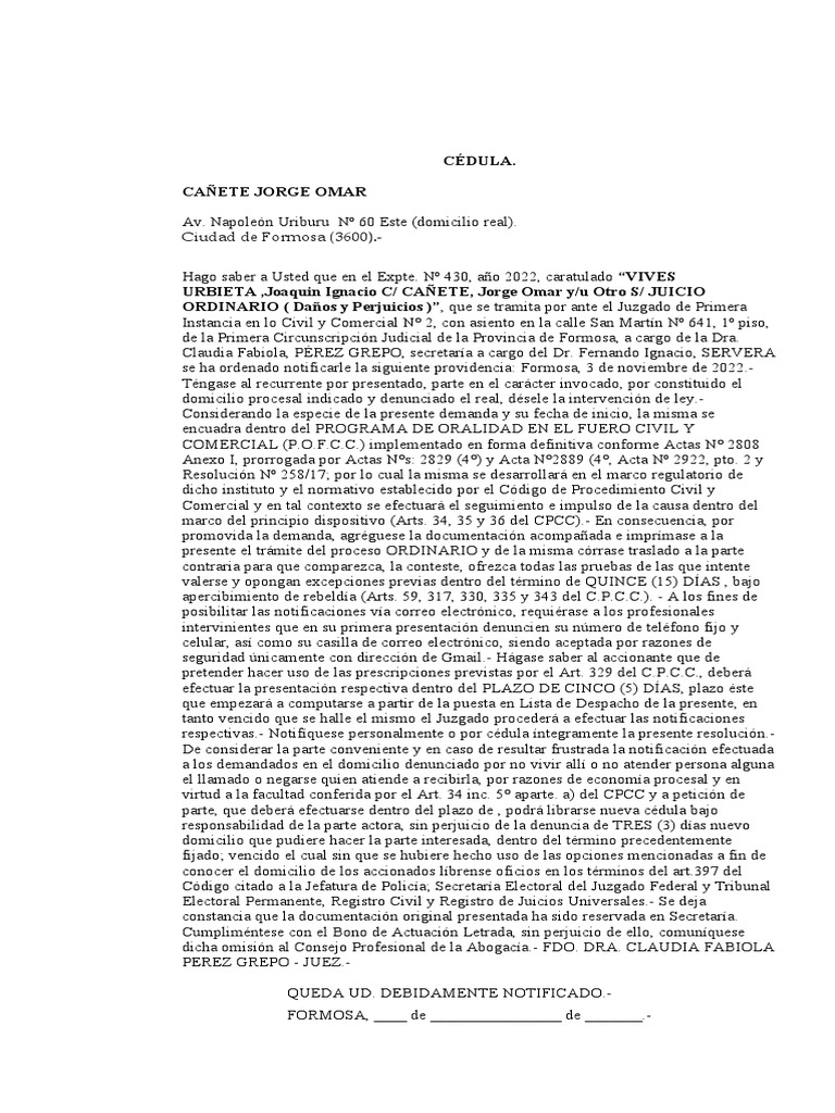 Cedula Nacion Cañete | PDF | Demanda judicial | Procedimiento Civil