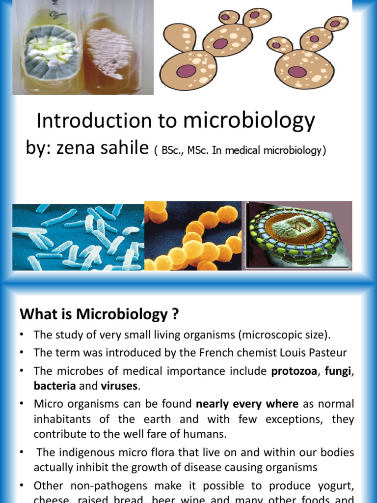 Introduction To Microbiology | PDF | Microbiology | Bacteria