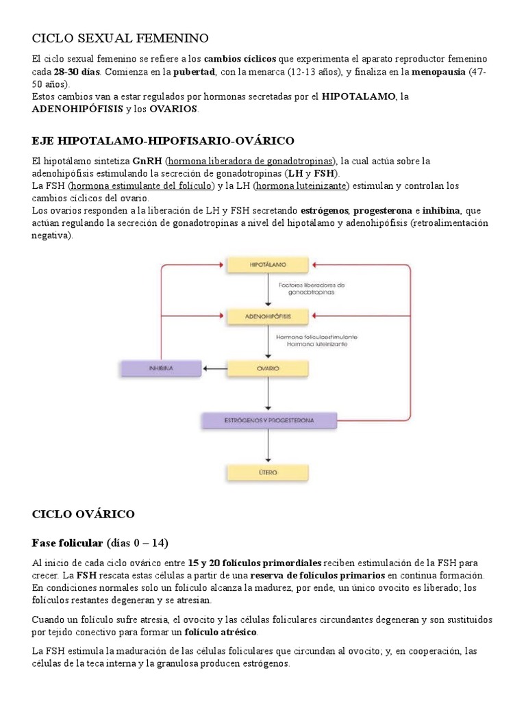 Ciclo Sexual Femenino of | PDF | Ciclo menstrual | Hormona luteinizante