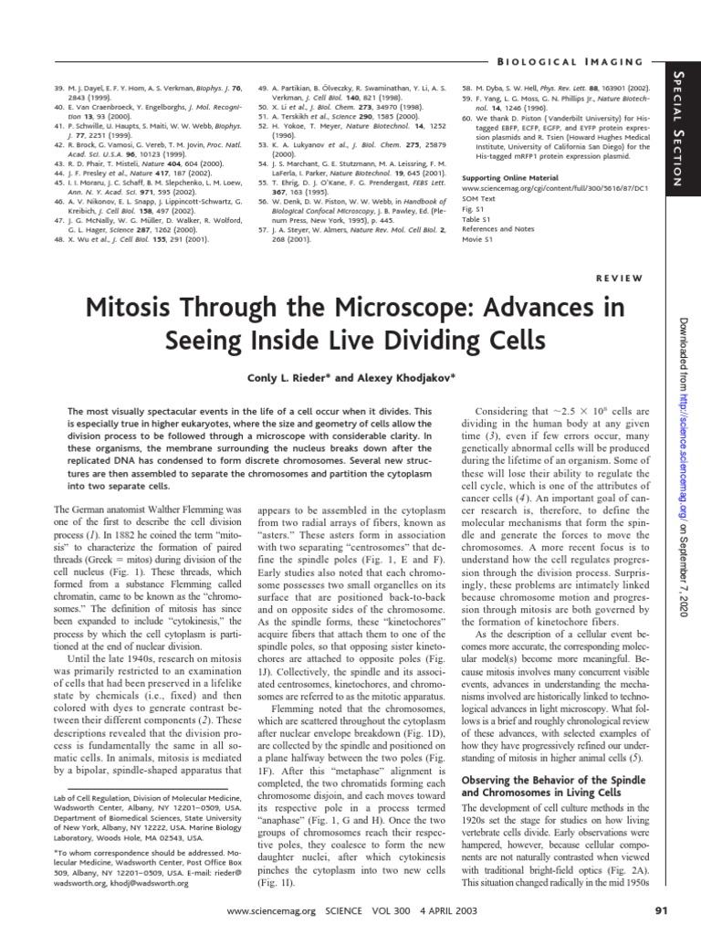Mitosis Through Microscope Science 2003 | PDF | Mitosis | Fluorescence Microscope