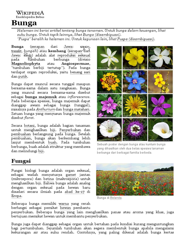 Bunga - Wikipedia Bahasa Indonesia, Ensiklopedia Bebas | PDF ...