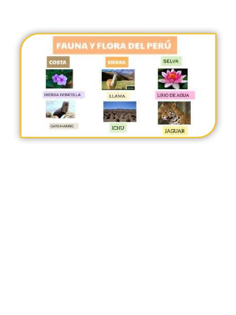 La Flora Del Peru | PDF