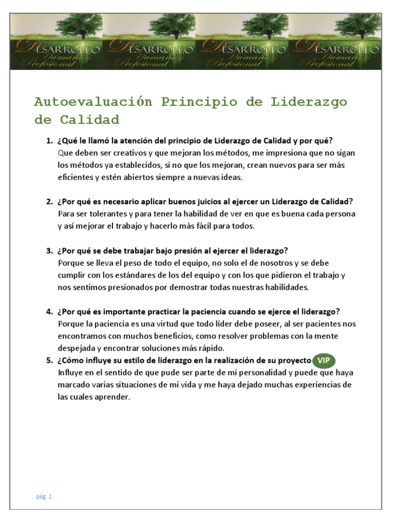 Autoevaluación Principio de Liderazgo de Calidad | PDF