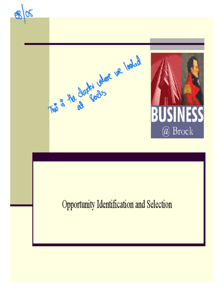Opportunity Identification and Selection | PDF | Innovation | Risk