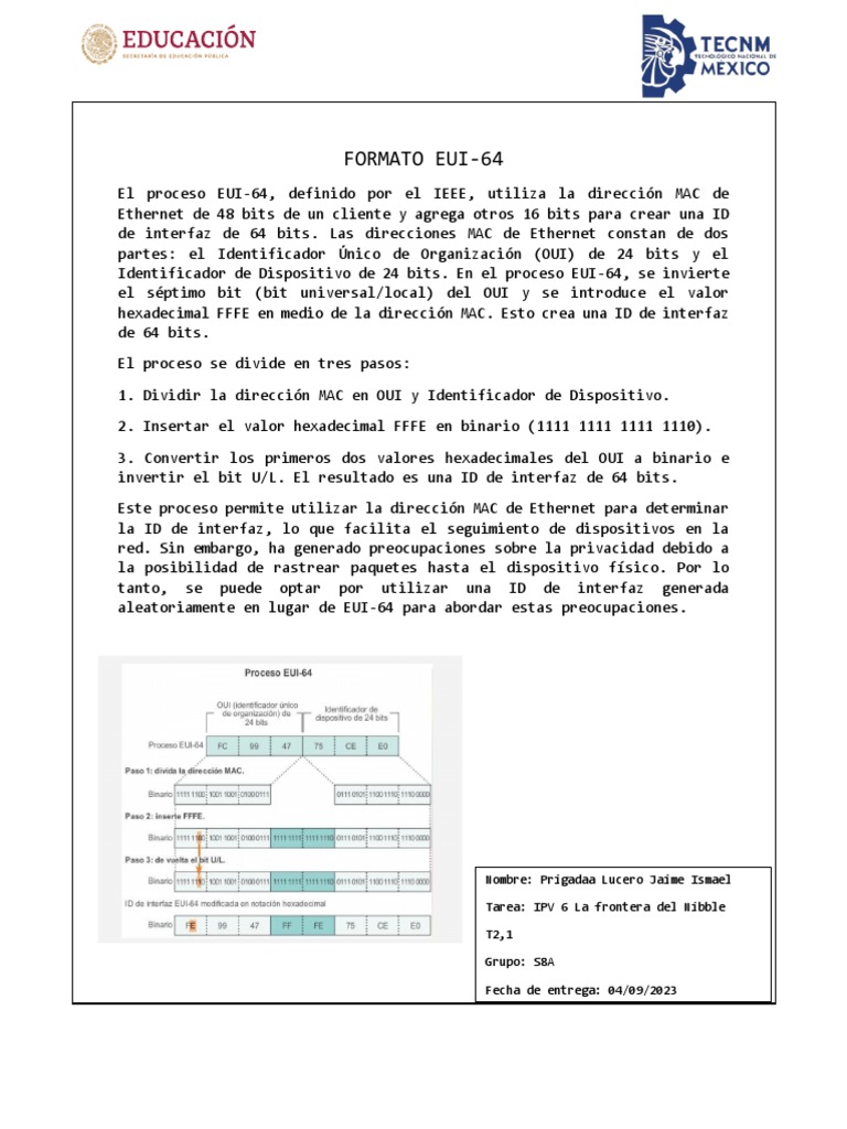 Formato Eui-64 | PDF