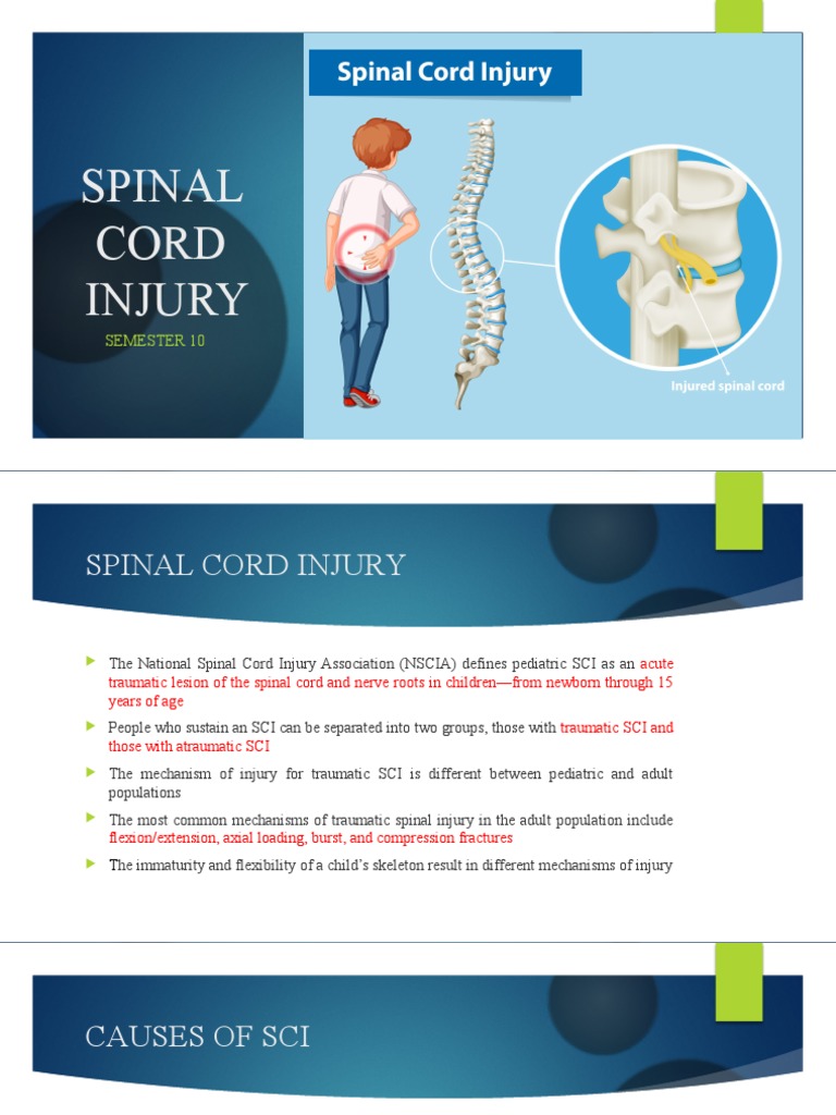 Spinal Cord Injury Lecture | PDF | Spinal Cord Injury | Injury
