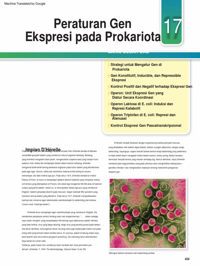 Snustad - Simmons (2016) Principles of Genetics-481-502 | PDF