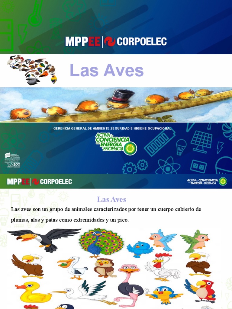 Las Aves Pdf Aves Ala
