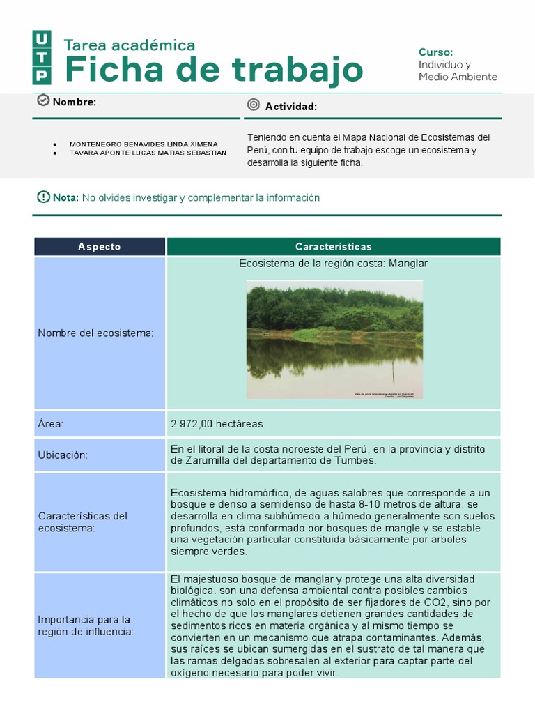 Linda Ximena Montenegro - Lucas Matias Sebastian Tavara TS2 | PDF ...