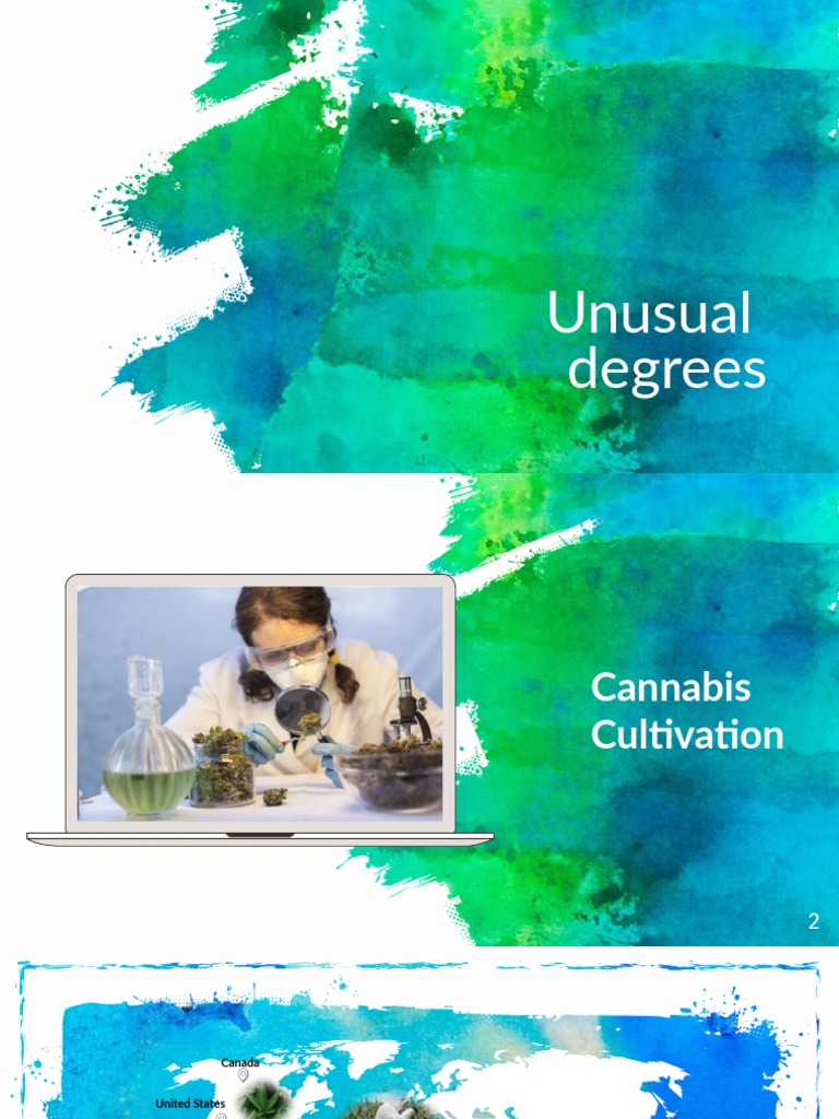 Unusual Degrees: Cannabis & Engineering | PDF
