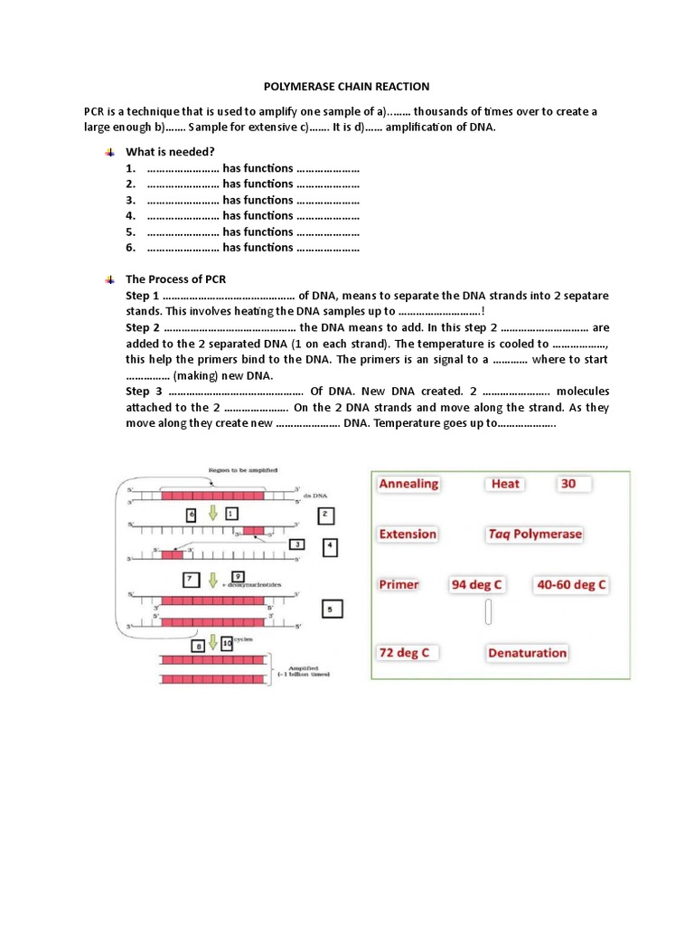 Polymerase Chain Reaction | PDF