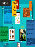 Infografia Triada Ecologica | PDF | Infección | Sistema inmune