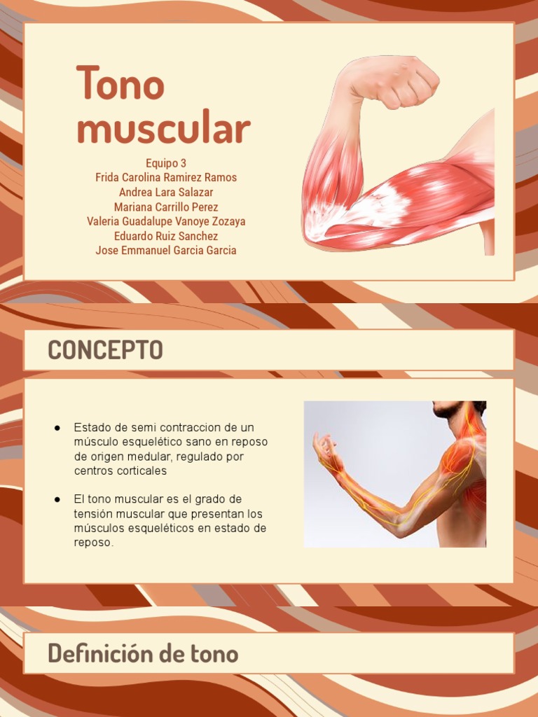 Tono Muscular-1 | PDF | Cerebelo | Músculo esquelético
