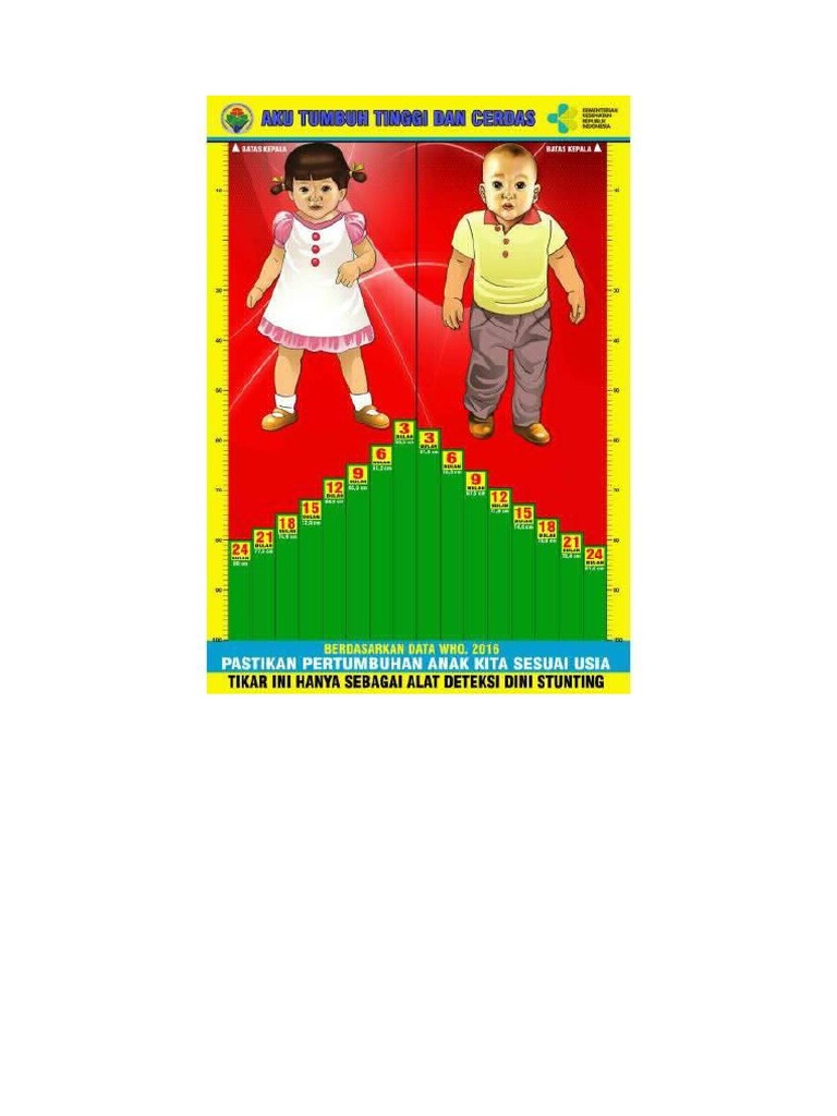 Tikar Stunting | PDF