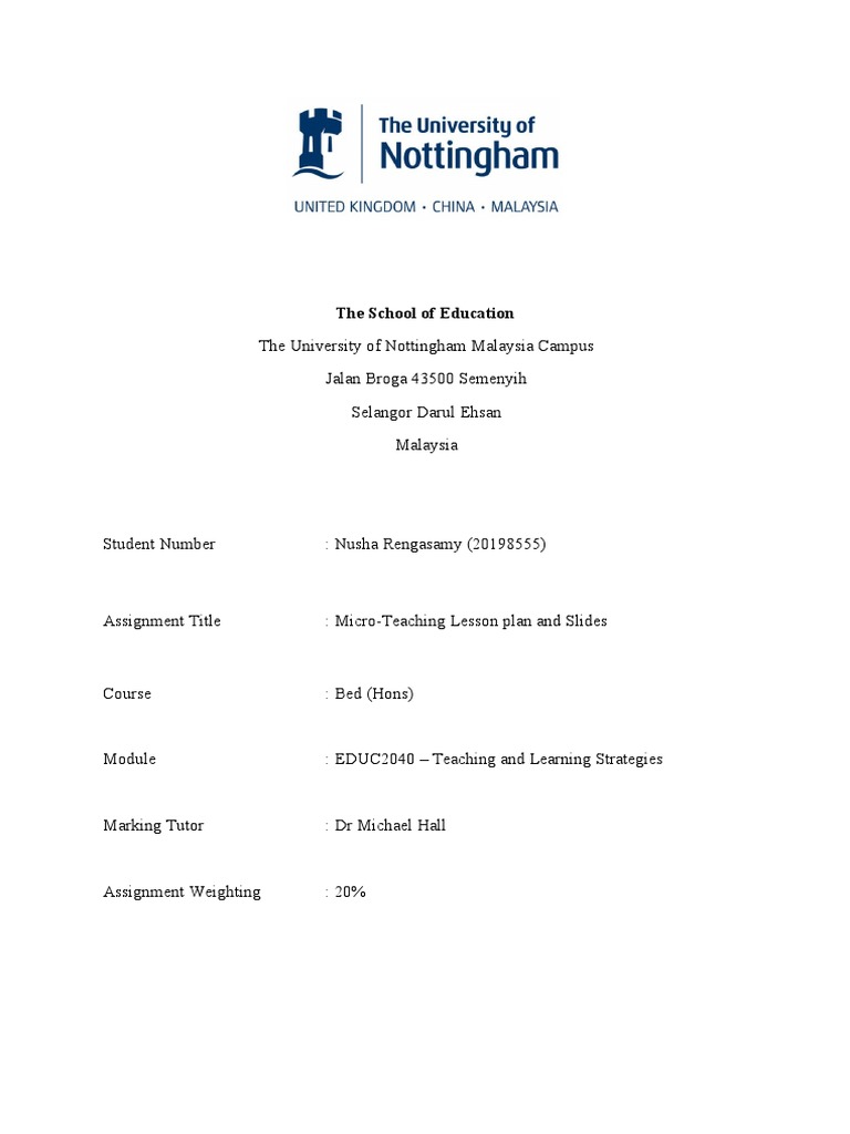 (TLS) Group 3 Lesson Plan | PDF | Working Memory | Learning