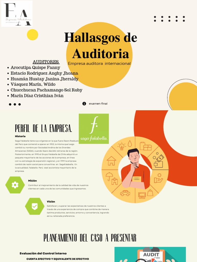 Auditoria | PDF | Auditoría | Business