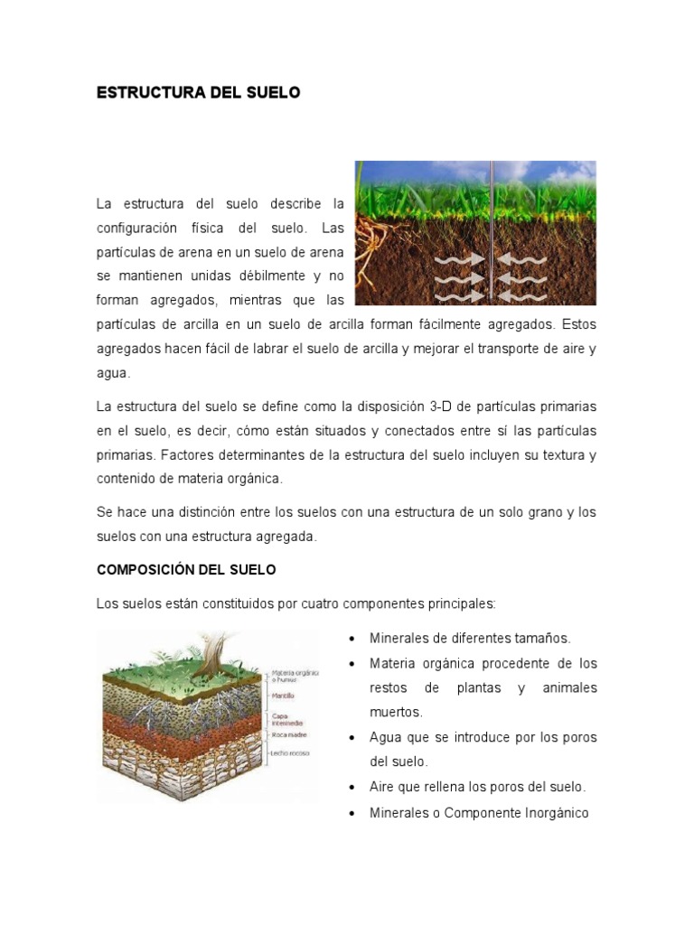 Estructura y componentes del suelo | PDF | Suelo | Roca (geología)