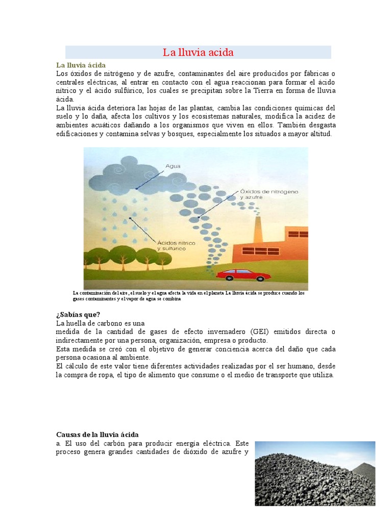 La Lluvia Acida | PDF | Contaminación | Gases de efecto invernadero