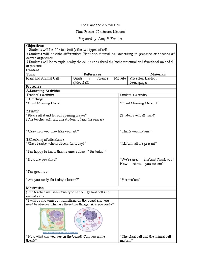 Plant vs. Animal Cell Overview | PDF | Endoplasmic Reticulum | Cell ...