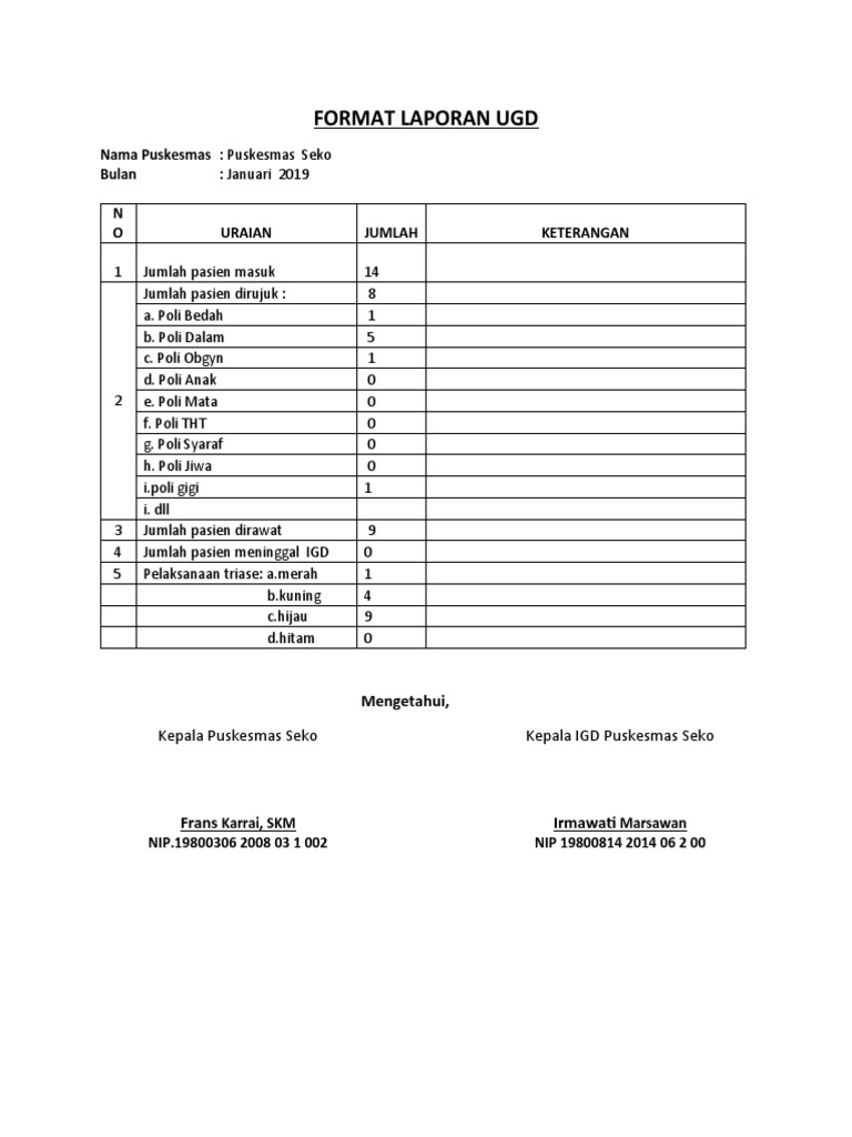 Format Laporan Ugd | PDF