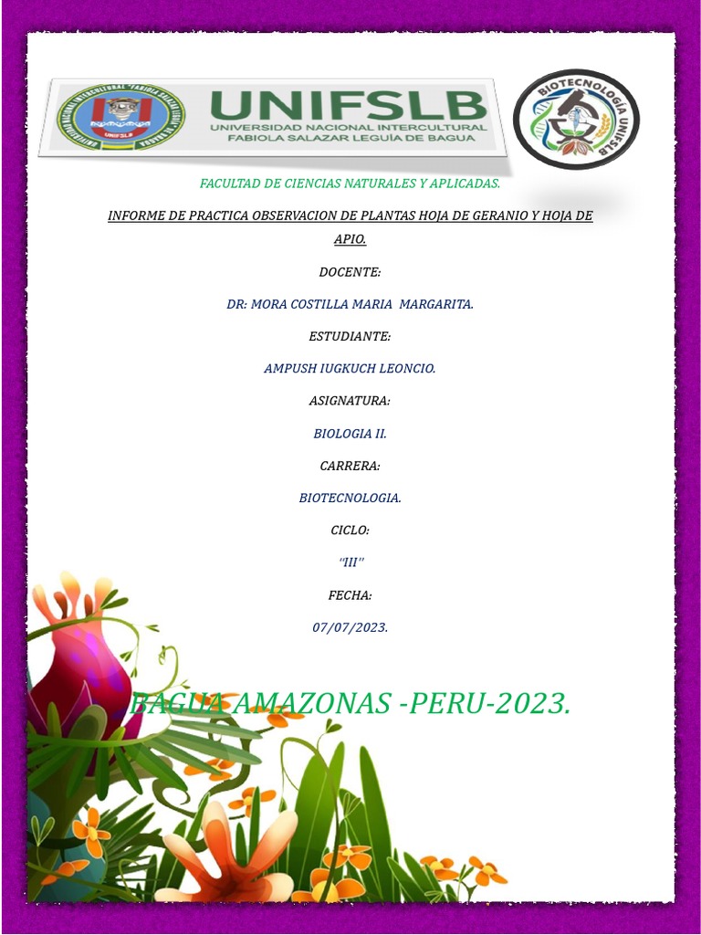 Observacion Hoja de Geranio y Apio | PDF | Hoja | Plantas