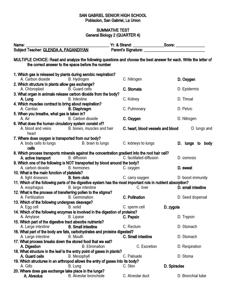 Q1 Exam | PDF | Digestion | Lung