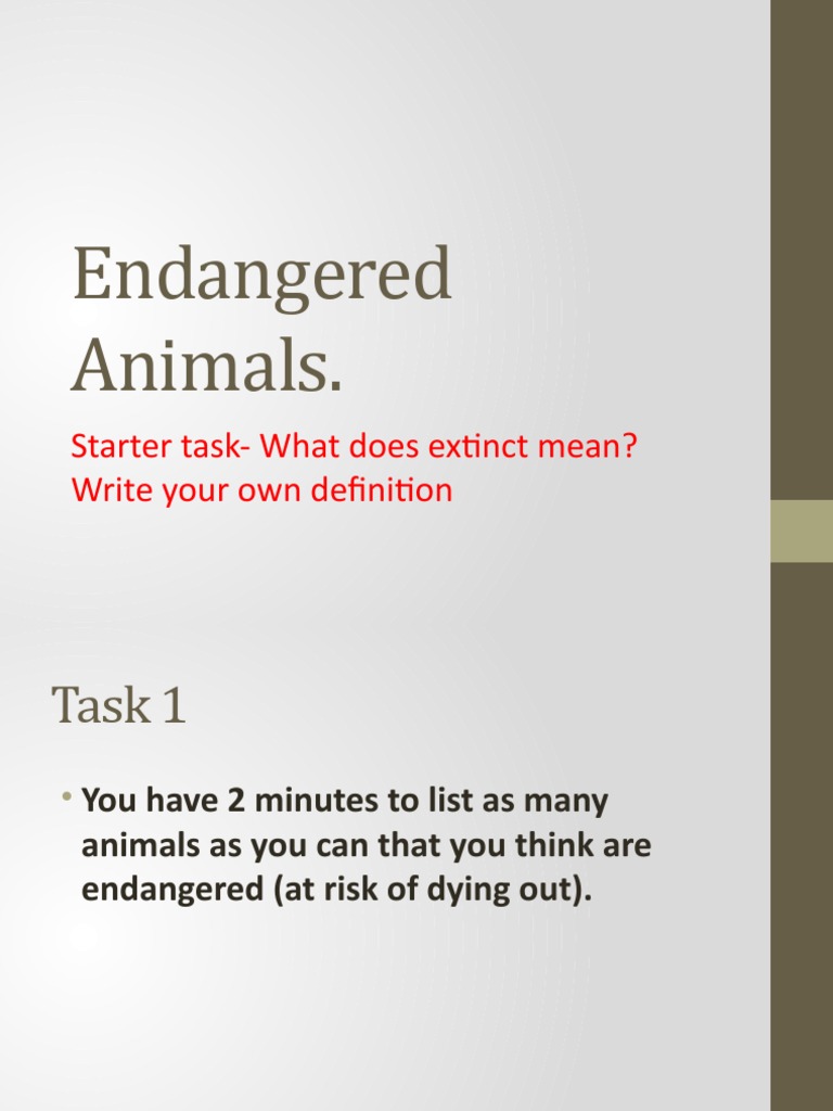 Endangered Animals Activities | PDF