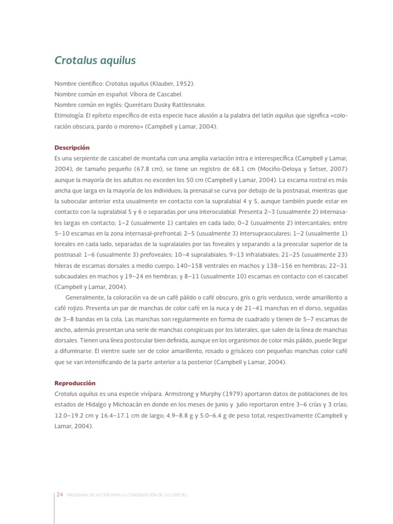 Crotalus Aquilus | PDF | Taxa | Serpiente