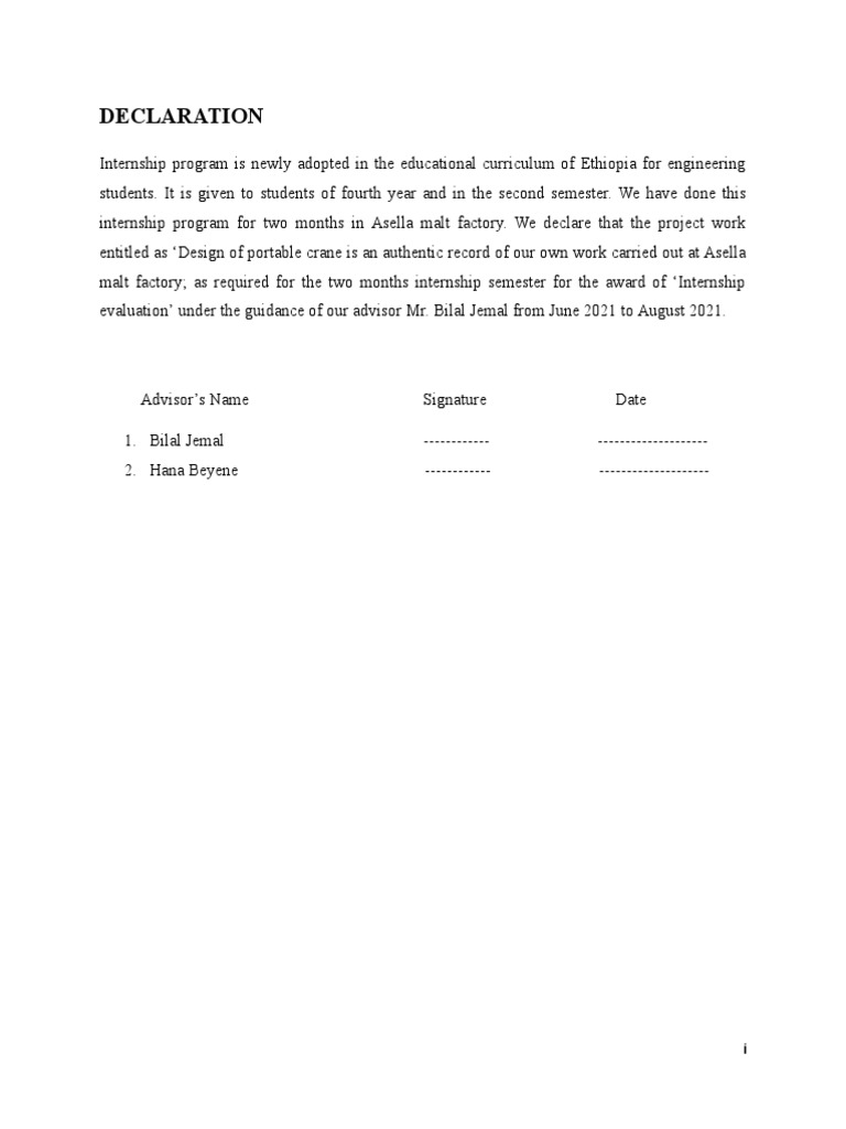 Amf Final Report | PDF | Crane (Machine)