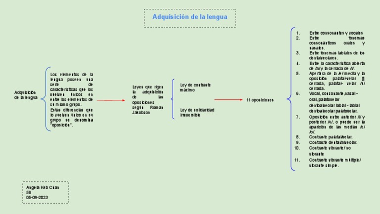 Cuadro Sinoptico - Adquisicion de La Lengua | PDF | Fonema | Familias ...