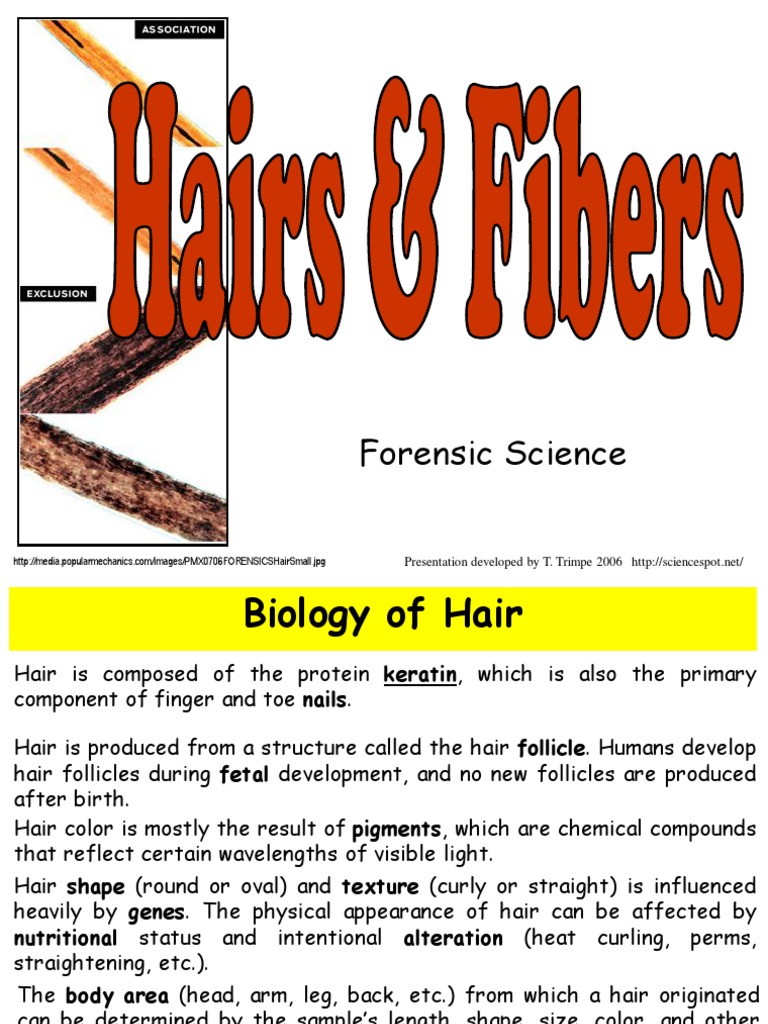 Hairs and Fibers 20 | PDF | Hair | Textiles