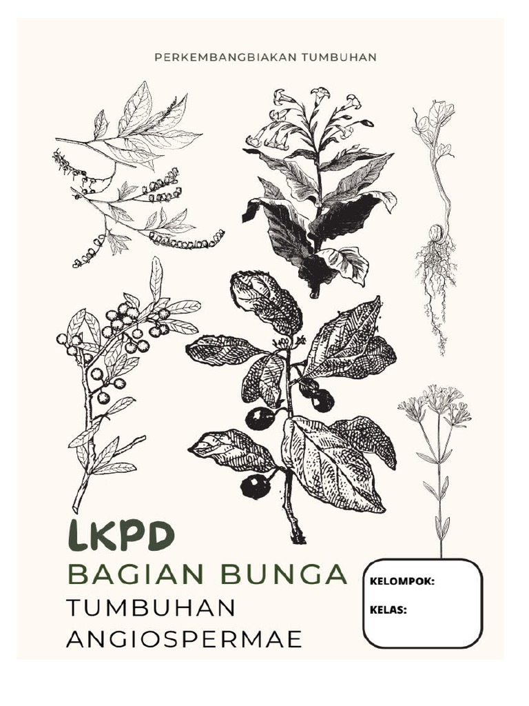 LKPD Mengamati Bunga (IX) | PDF