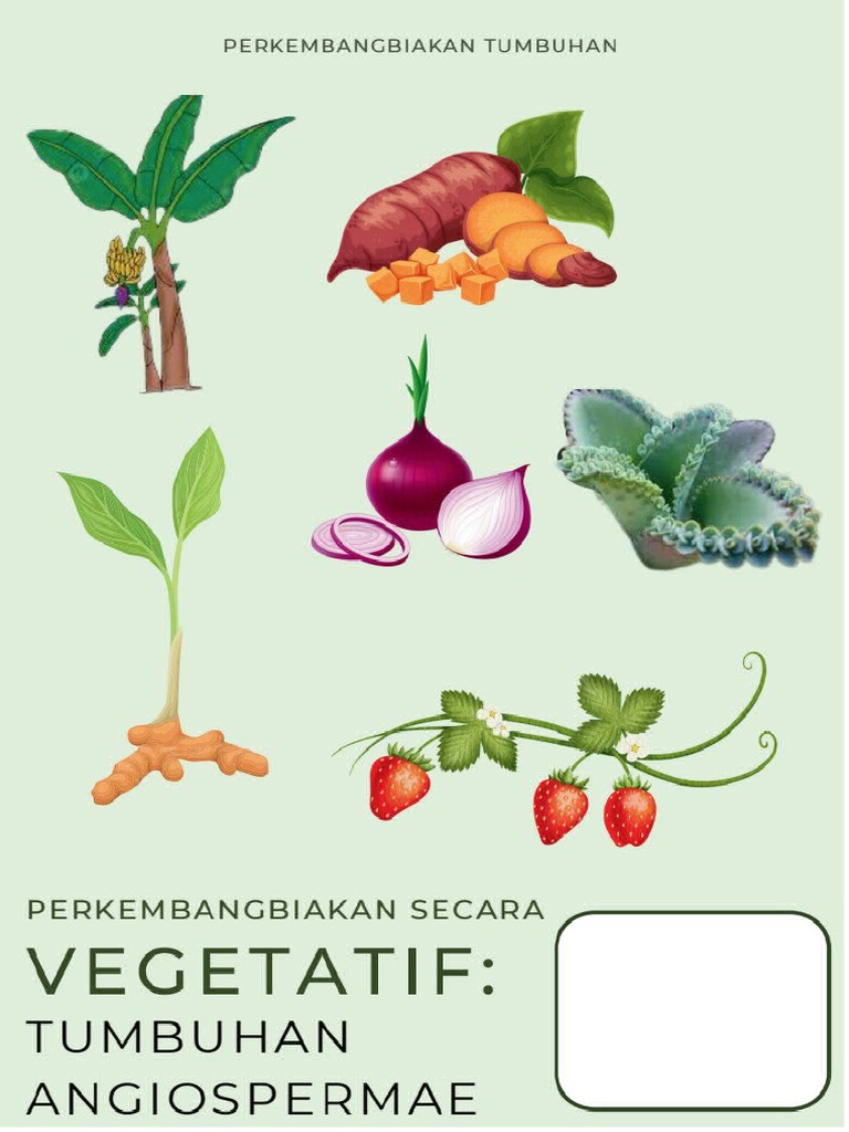 LKPD Perkembangbiakan Vegetatif (IX) | PDF