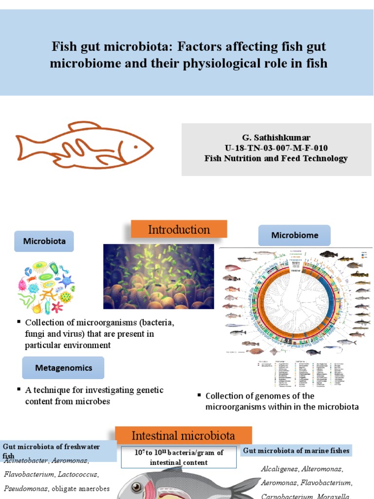 Fish Gut Microbiota Factors Affecting Fish Gut Microbome and Their ...