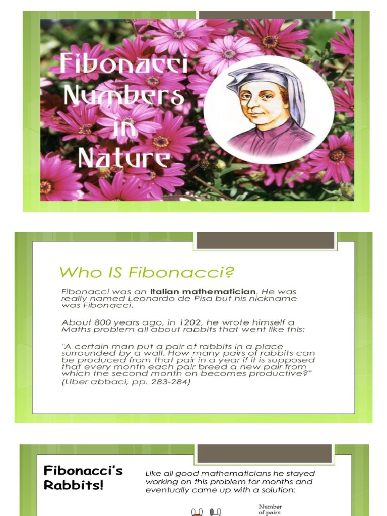 Fibonacci Numbers | PDF